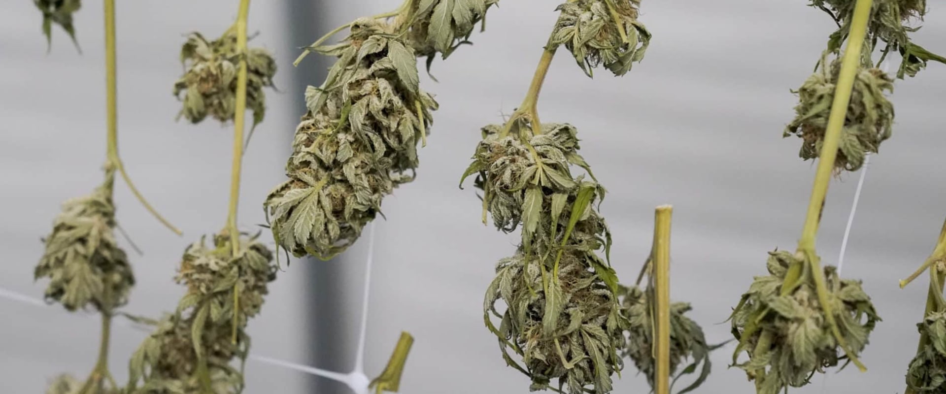 Policy Pulse In Suffolk County, New York: Key Policies You Should Know