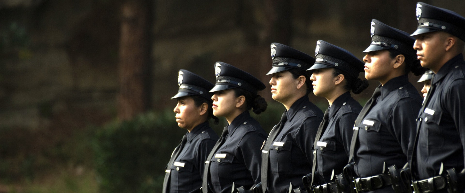 Public Safety and Law Enforcement in Suffolk County, New York: Ensuring ...